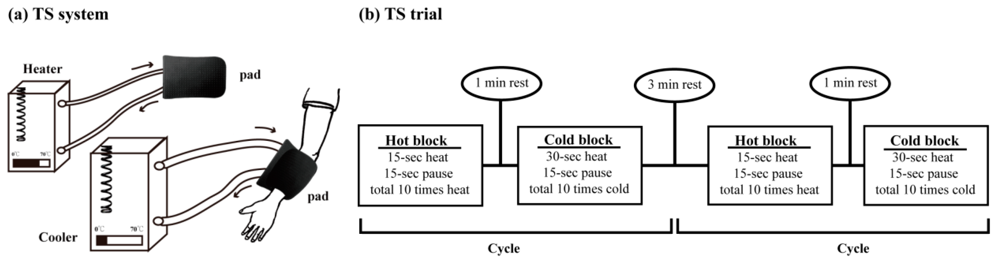 Influence of Alternate Hot and Cold Thermal Stimulation in Cortical ...