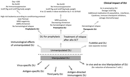 Immunological and Clinical Impact of Manipulated and Unmanipulated DLI ...
