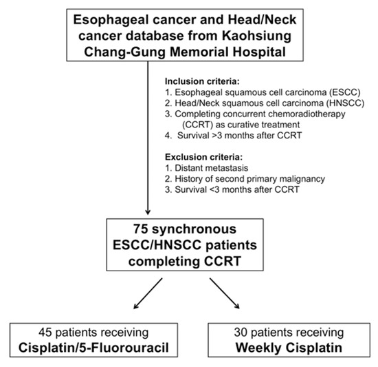 Efficacy of Different Chemotherapy Regimens in Patients with Locally ...
