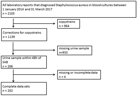 Staphylococcus Aureus Bacteriuria as a Predictor of In-Hospital ...