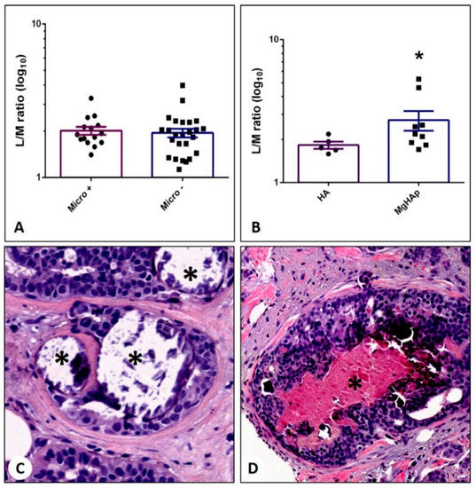 Breast-Specific Gamma Imaging with [99mTc]Tc-Sestamibi: An In Vivo ...