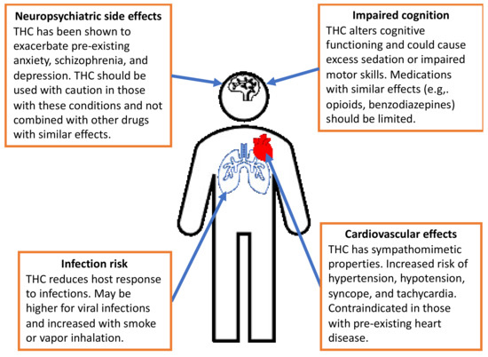 Cannabis Drug Effects