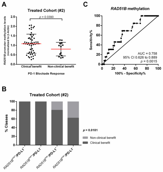 JCM | Free Full-Text | RAD51Bme Levels as a Potential Predictive ...