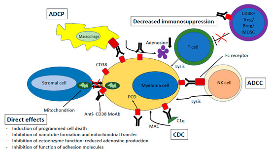 Resistance Mechanisms towards CD38−Directed Antibody Therapy in ...