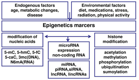 Genetic, Epigenetic, and Steroidogenic Modulation Mechanisms in ...