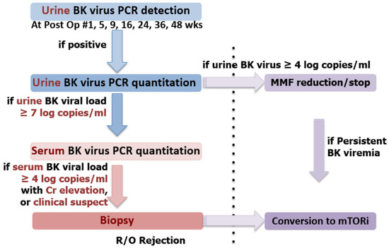 Outcome Comparison between Low-Dose Rabbit Anti-Thymocyte Globulin and ...