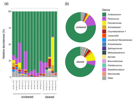 Eye-Catching Microbes—Polyphasic Analysis of the Microbiota on ...