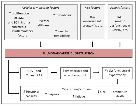 Effects of Different Types of Exercise Training on Pulmonary Arterial ...