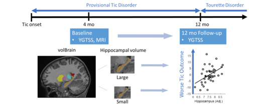 JCM | Free Full-Text | Hippocampal Volume in Provisional Tic Disorder ...