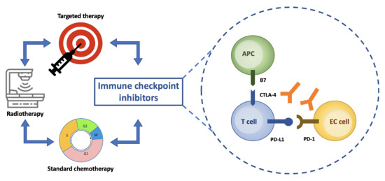 JCM | Free Full-Text | Immune Checkpoint Inhibitors: A Promising Choice ...