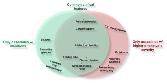 JCM | Free Full-Text | New Insights into Immunological Involvement in ...