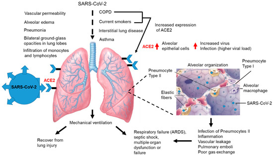 JCM | Free Full-Text | Racial Disparities-Associated COVID-19 Mortality ...