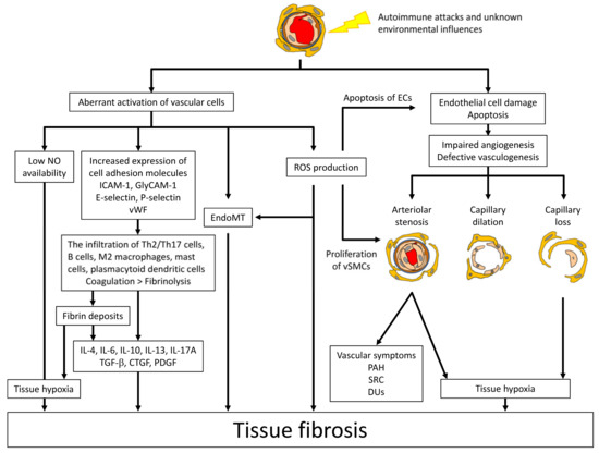 The Pathogenesis of Systemic Sclerosis: An Understanding Based on a ...
