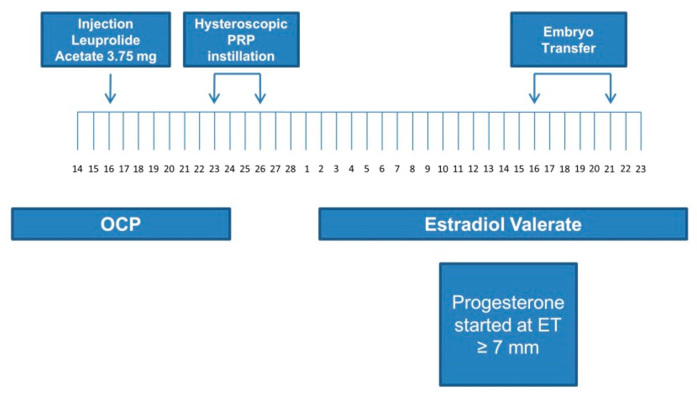 Management of a Thin Endometrium by Hysteroscopic Instillation of ...
