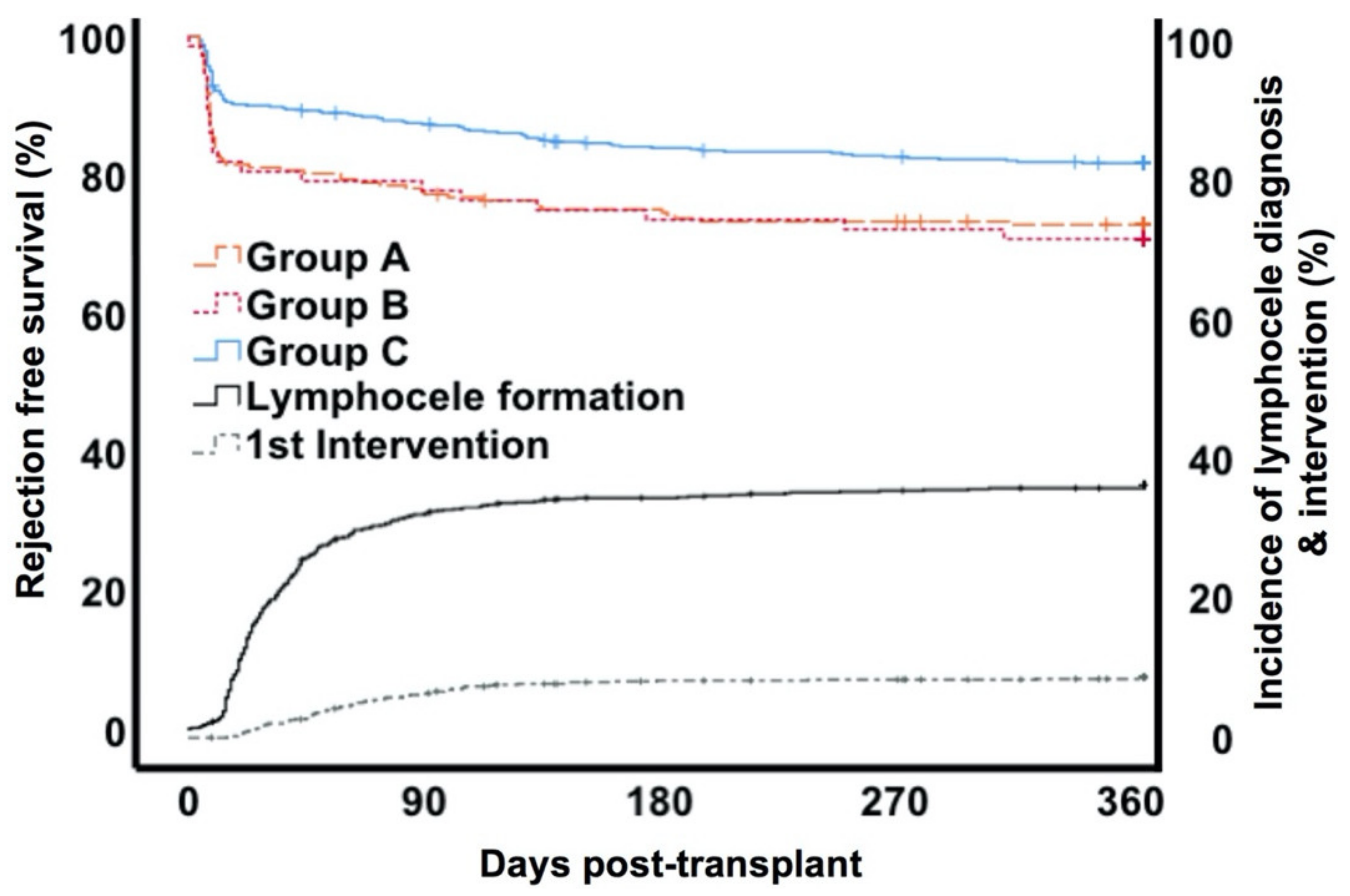 Analysis of Risk Factors and Long-Term Outcomes in Kidney Transplant ...