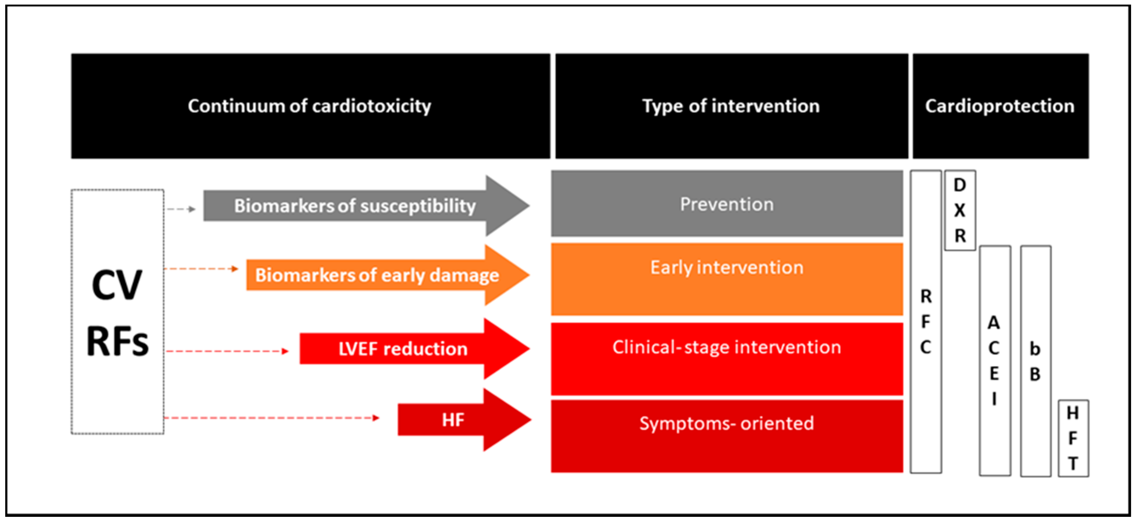 Management of Cardiac Toxicity Induced by Chemotherapy