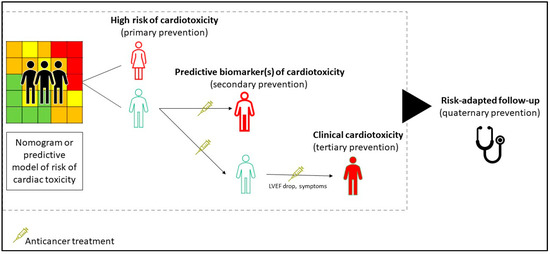 Management of Cardiac Toxicity Induced by Chemotherapy