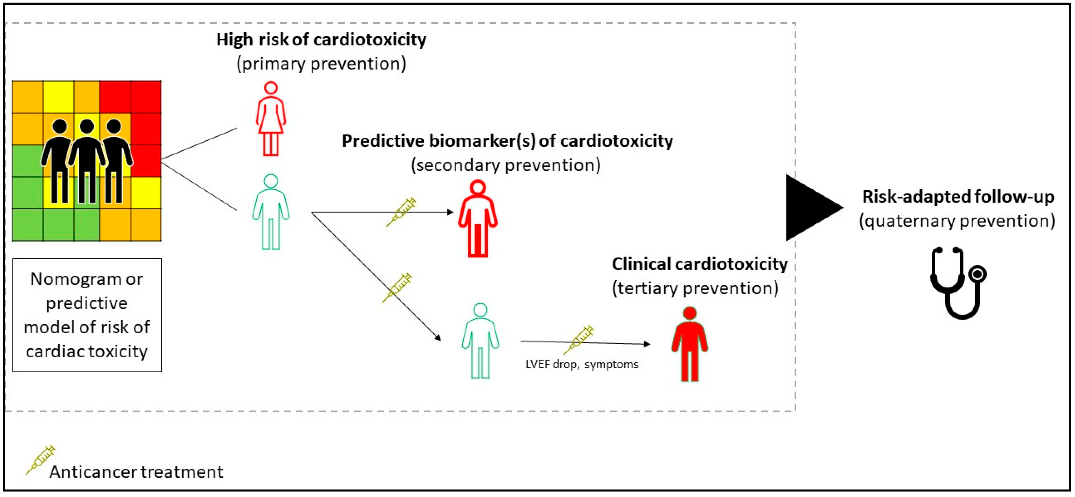 Management of Cardiac Toxicity Induced by Chemotherapy