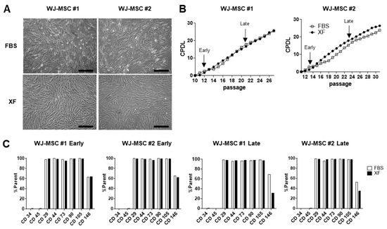 Xeno-Free Condition Enhances Therapeutic Functions of Human Wharton’s ...