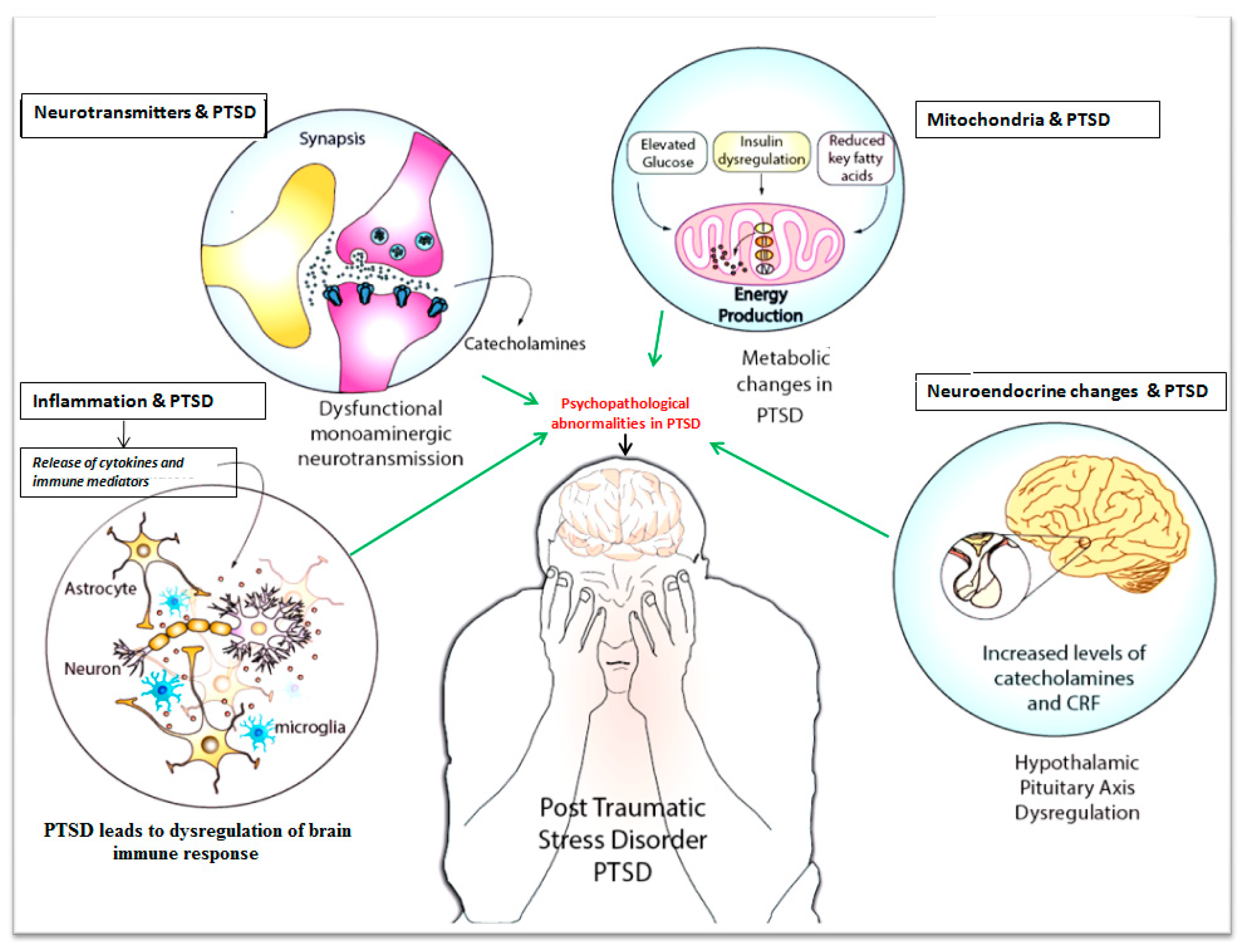 Traumatic Stress Disorder Ptsd Coggle Diagram - vrogue.co Traumatic Stress Disorder Ptsd Coggle Diagram - vrogue.co