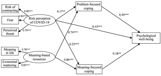 Risk Perception of COVID-19, Meaning-Based Resources and Psychological ...