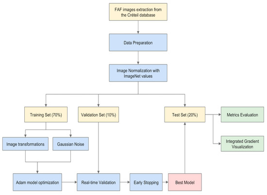 JCM | Free Full-Text | Deep Learning-Based Classification of Inherited ...