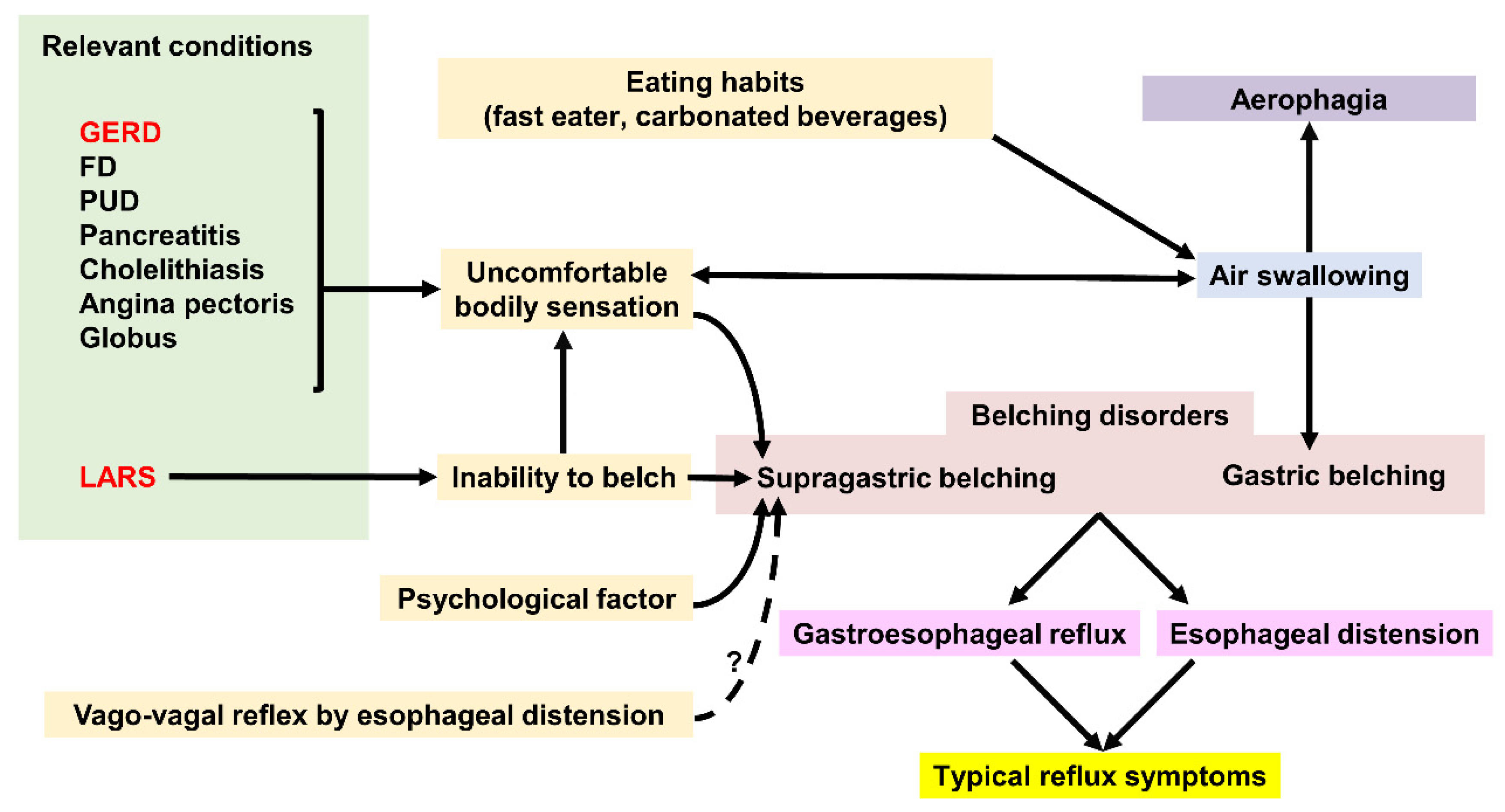 Belching in Gastroesophageal Reflux Disease: Literature Review
