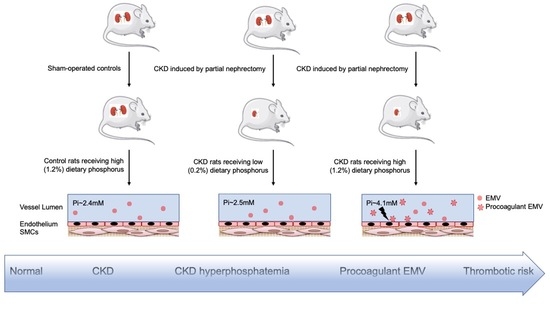 JCM | Special Issue : A Changing Perspective for Treatment of Chronic ...