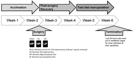Hyperphosphatemia Drives Procoagulant Microvesicle Generation in the ...