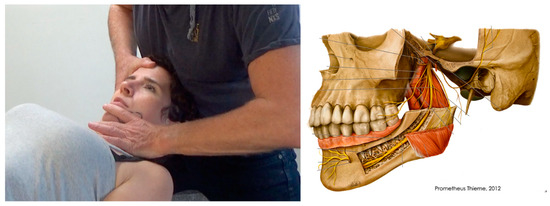 Clinical Reasoning for the Examination and Physical Therapy Treatment ...