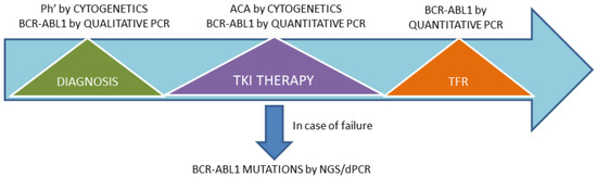 Molecular Testing in CML between Old and New Methods: Are We at a ...