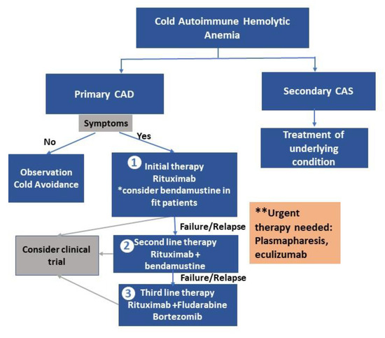 JCM | Free Full-Text | Rituximab Use in Warm and Cold Autoimmune ...