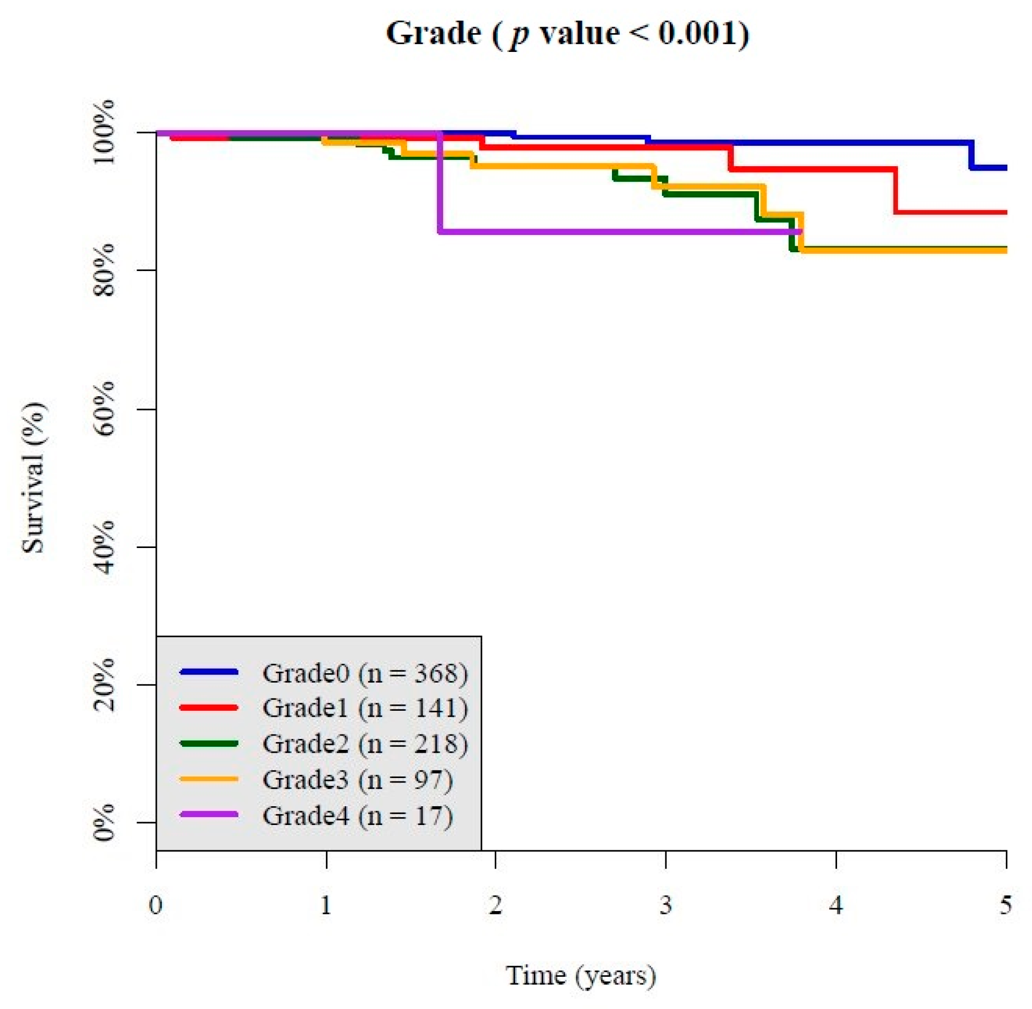 The Severity of Diabetic Retinopathy Is an Independent Factor for the ...