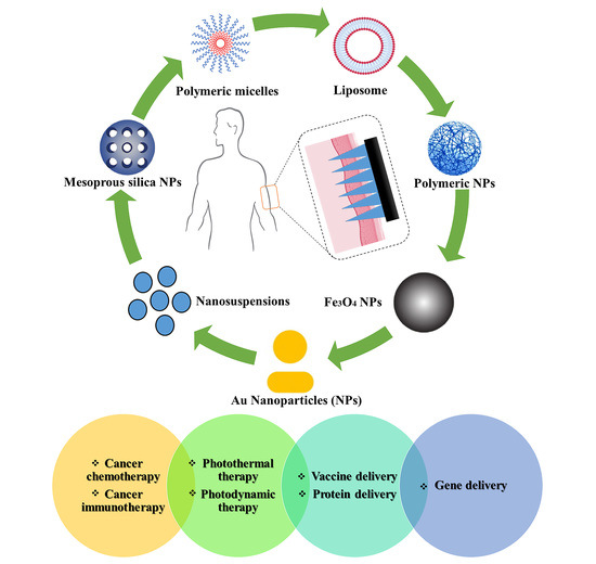 JCM | Free Full-Text | Microneedle Arrays Combined with Nanomedicine ...