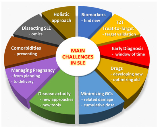 The Main Challenges in Systemic Lupus Erythematosus: Where Do We Stand?