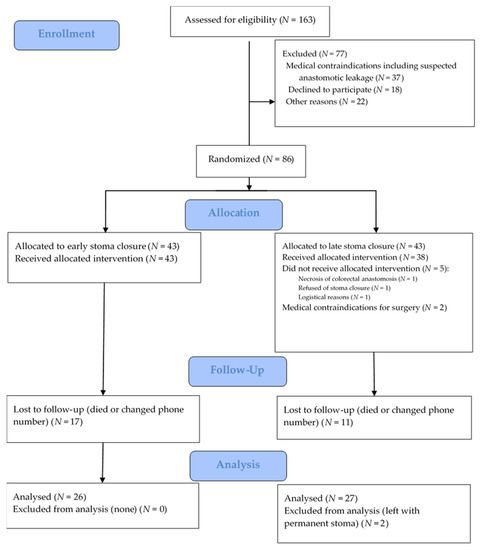 Loop Ileostomy Closure