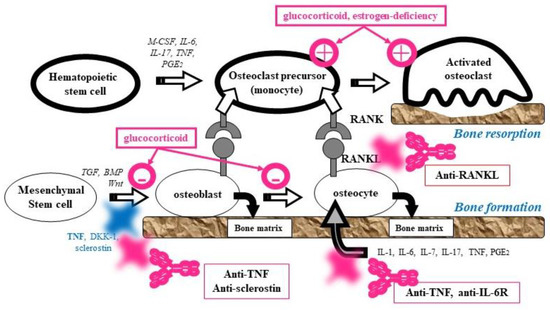 Managing Osteoporosis and Joint Damage in Patients with Rheumatoid ...