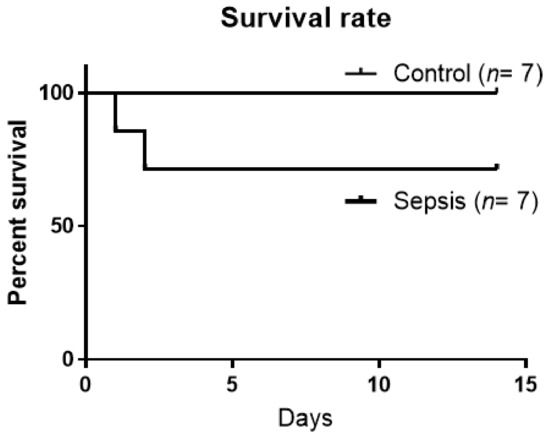 Sepsis Induces Physical and Mental Impairments in a Mouse Model of Post ...
