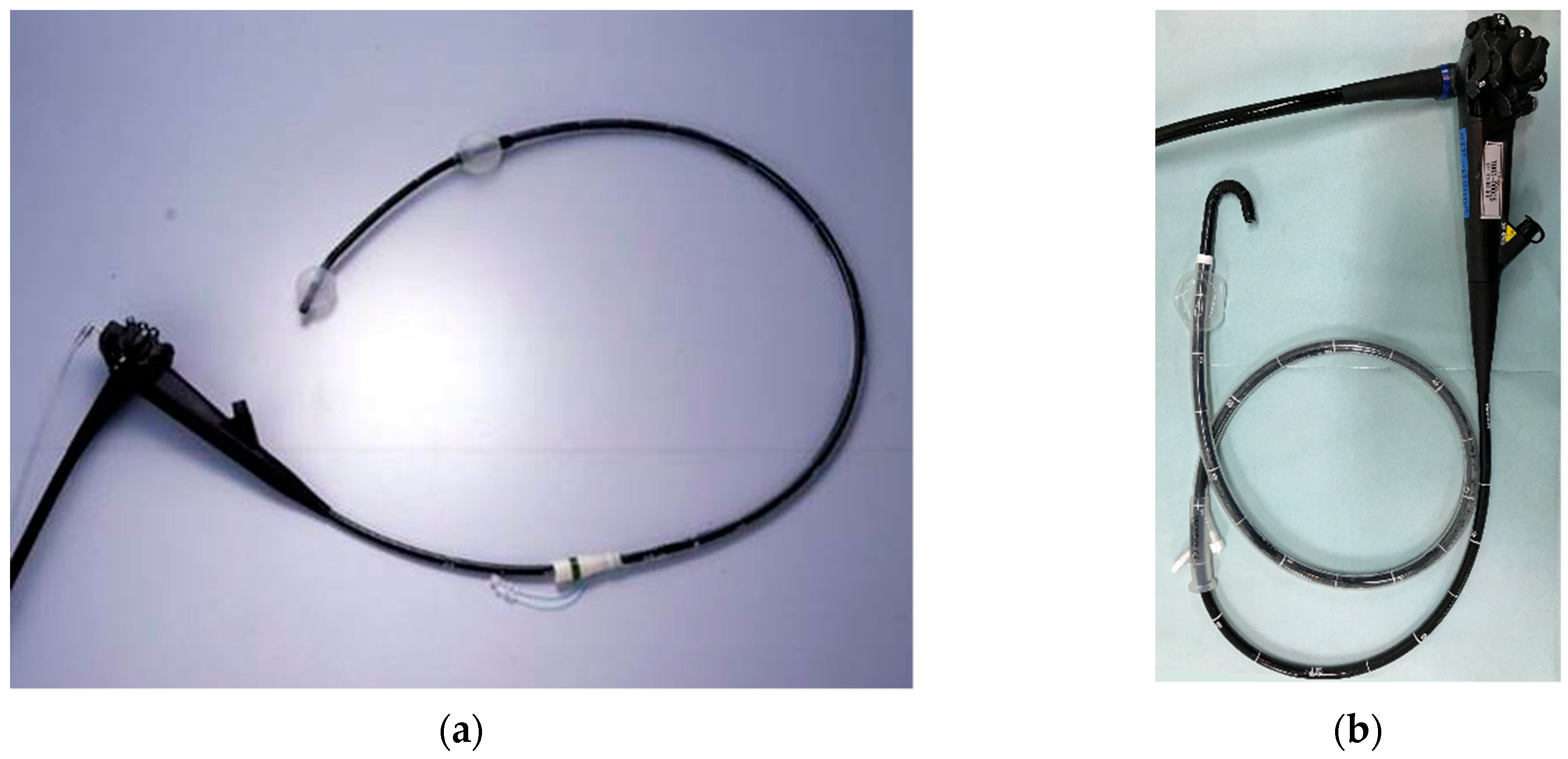 Recent Advances of Interventional Endoscopic Retrograde ...