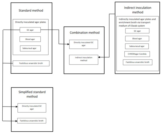 Corneal Culture in Infectious Keratitis: Effect of the Inoculation ...