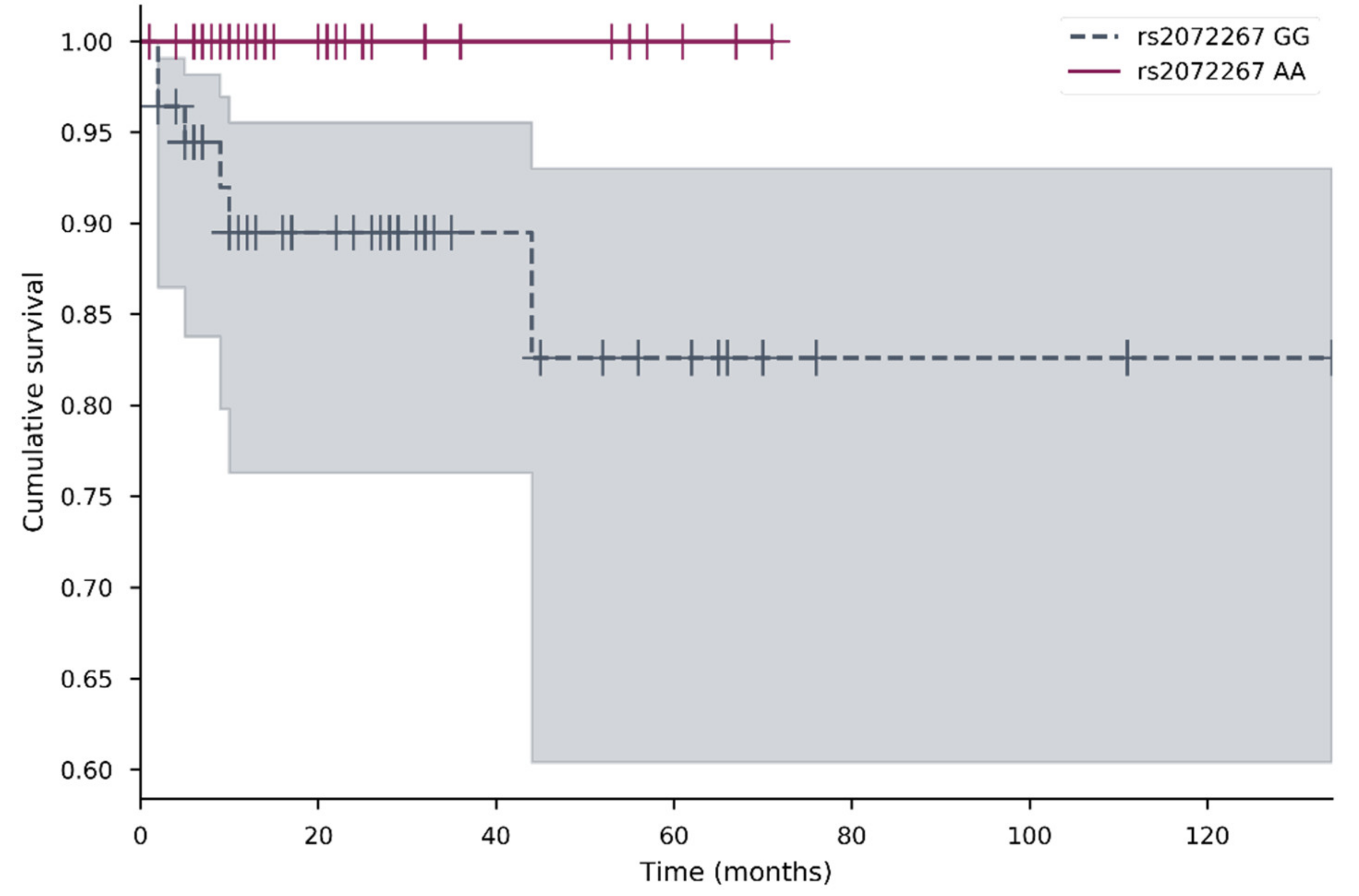 POLG Gene Variants in Cervical Cancer Patients and Their Associations ...