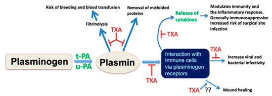 Plasmin, Immunity, and Surgical Site Infection
