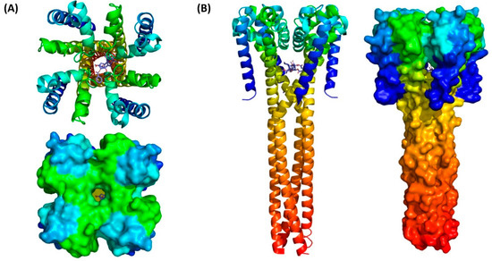 Aconitine Neurotoxicity According to Administration Methods
