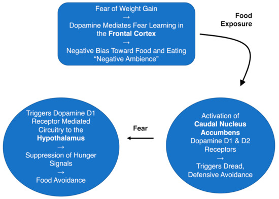 From Desire to Dread—A Neurocircuitry Based Model for Food Avoidance in ...