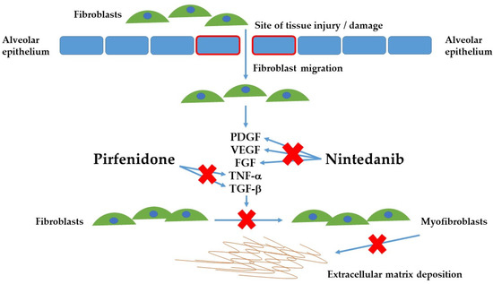 Antifibrotic Therapies and Progressive Fibrosing Interstitial Lung ...