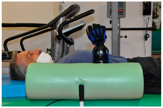 Influence of the Passive Stabilization of the Trunk and Upper Limb on ...