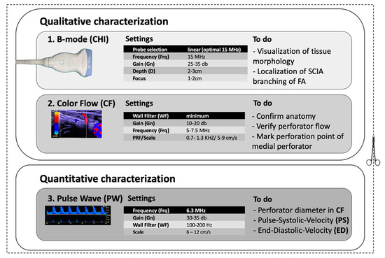 Do-It-Yourself Preoperative High-Resolution Ultrasound-Guided Flap ...