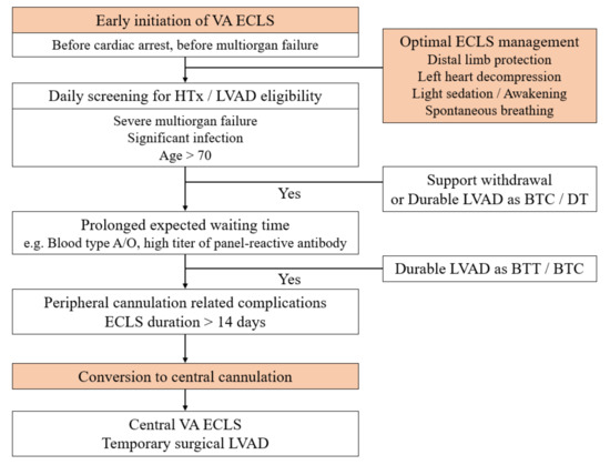 Use of Extracorporeal Life Support for Heart Transplantation: Key ...