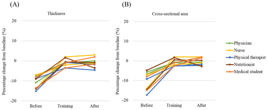 Rectus Femoris Mimicking Ultrasound Phantom for Muscle Mass Assessment ...