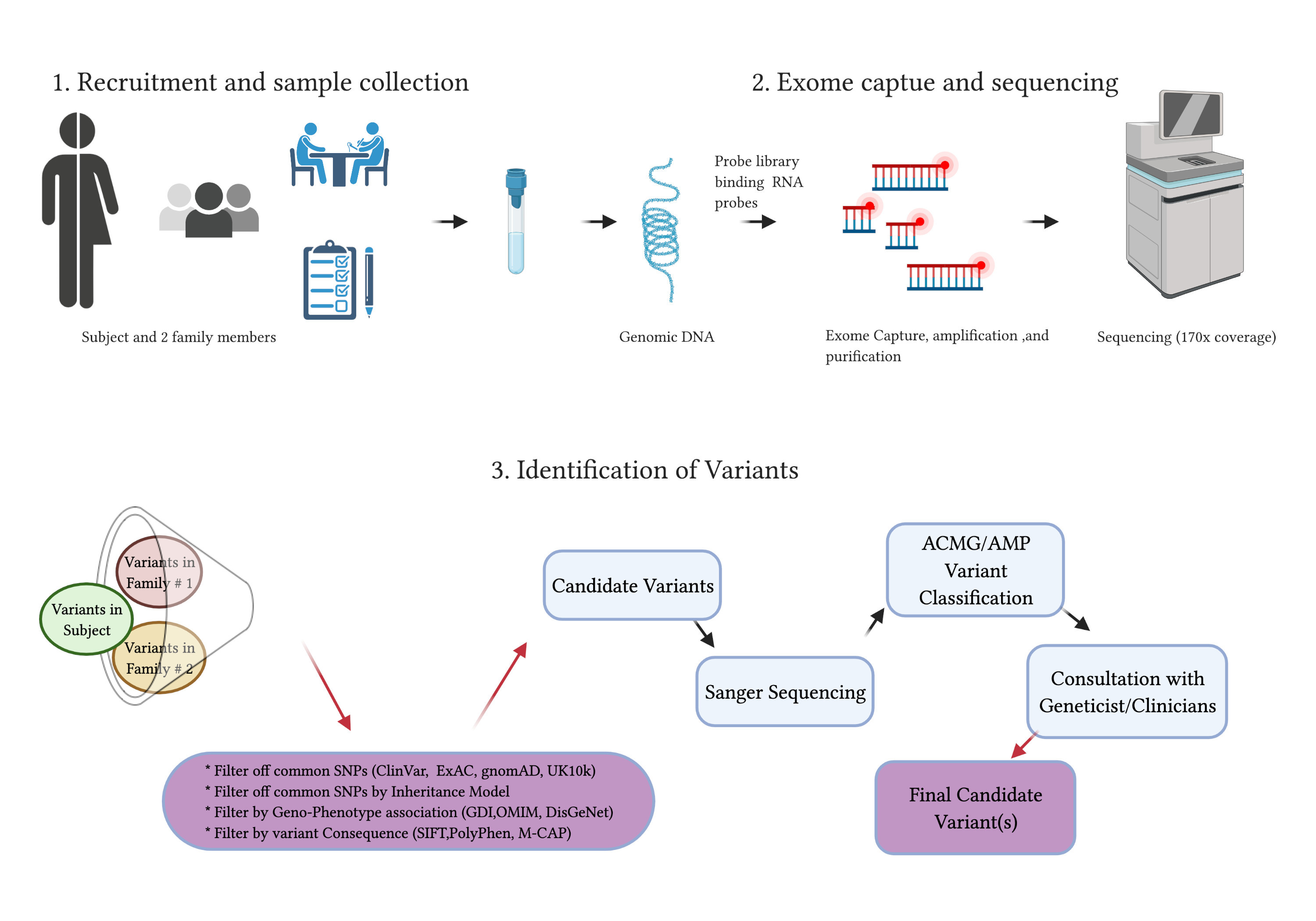 JCM | Free Full-Text | Whole-Exome Sequencing to Identify Potential ...